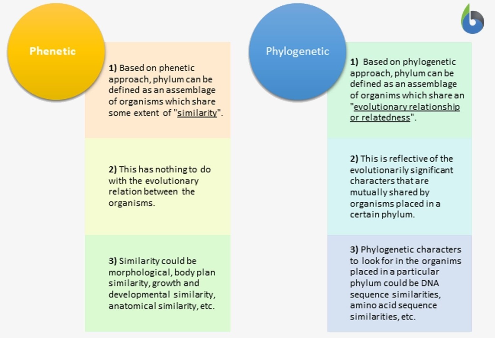 Phylum - Definition and Examples - Biology Online Dictionary