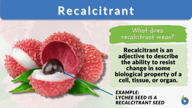 Recalcitrant - Definition and Examples - Biology Online Dictionary
