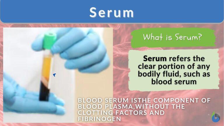 Serum - Definition and Examples - Biology Online Dictionary