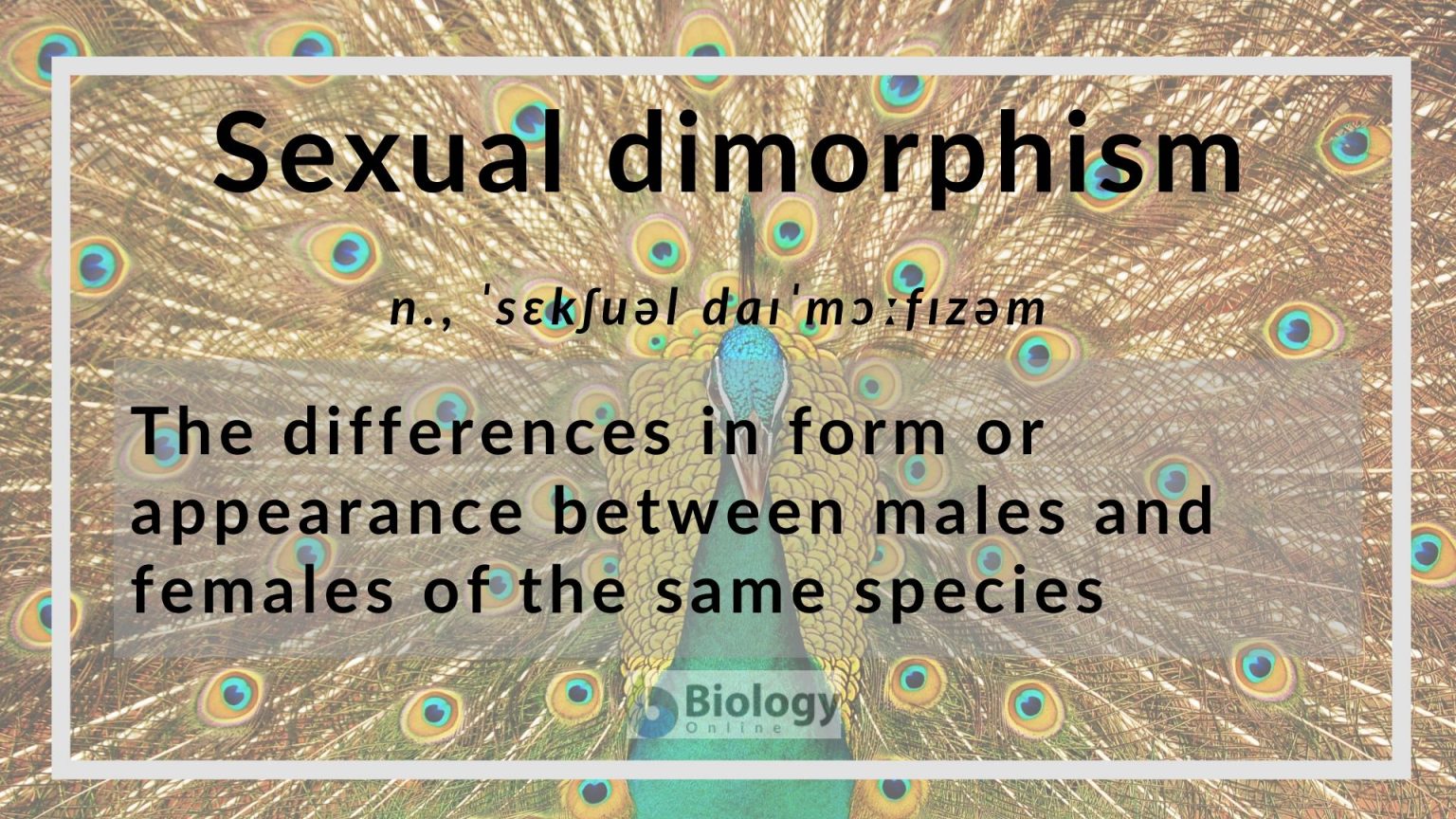 Sexual dimorphism - Definition and Examples - Biology Online Dictionary