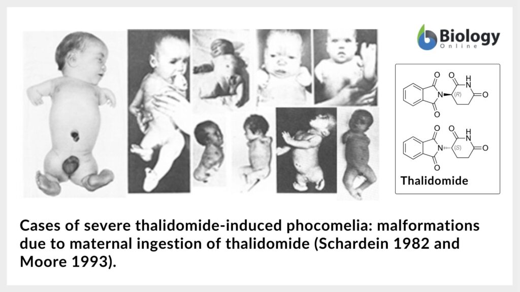 Mutagen - Definition and Examples - Biology Online Dictionary
