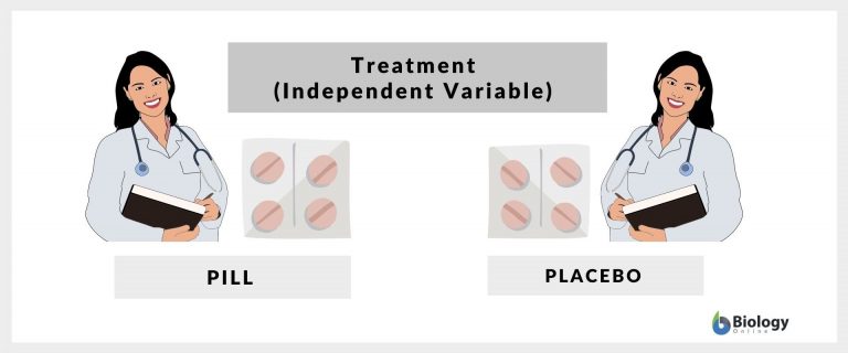 Independent variable - Definition and Examples - Biology Online Dictionary