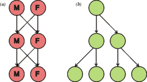 Asexual reproduction - Definition and Examples - Biology Online Dictionary