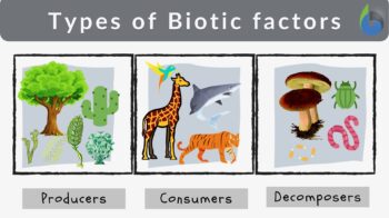 Biotic factor - Definition and Examples - Biology Online Dictionary