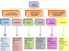 Humoral immunity - Definition and Examples - Biology Online Dictionary