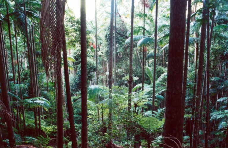 Ecosystem Diversity Definition And Examples Biology Online Dictionary ecosystem-diversity-definition-and-examples-biology-online-dictionary