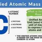 Unified atomic mass unit - Definition and Examples - Biology Online ...