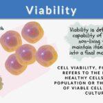 Viability Definition and Examples - Biology Online Dictionary