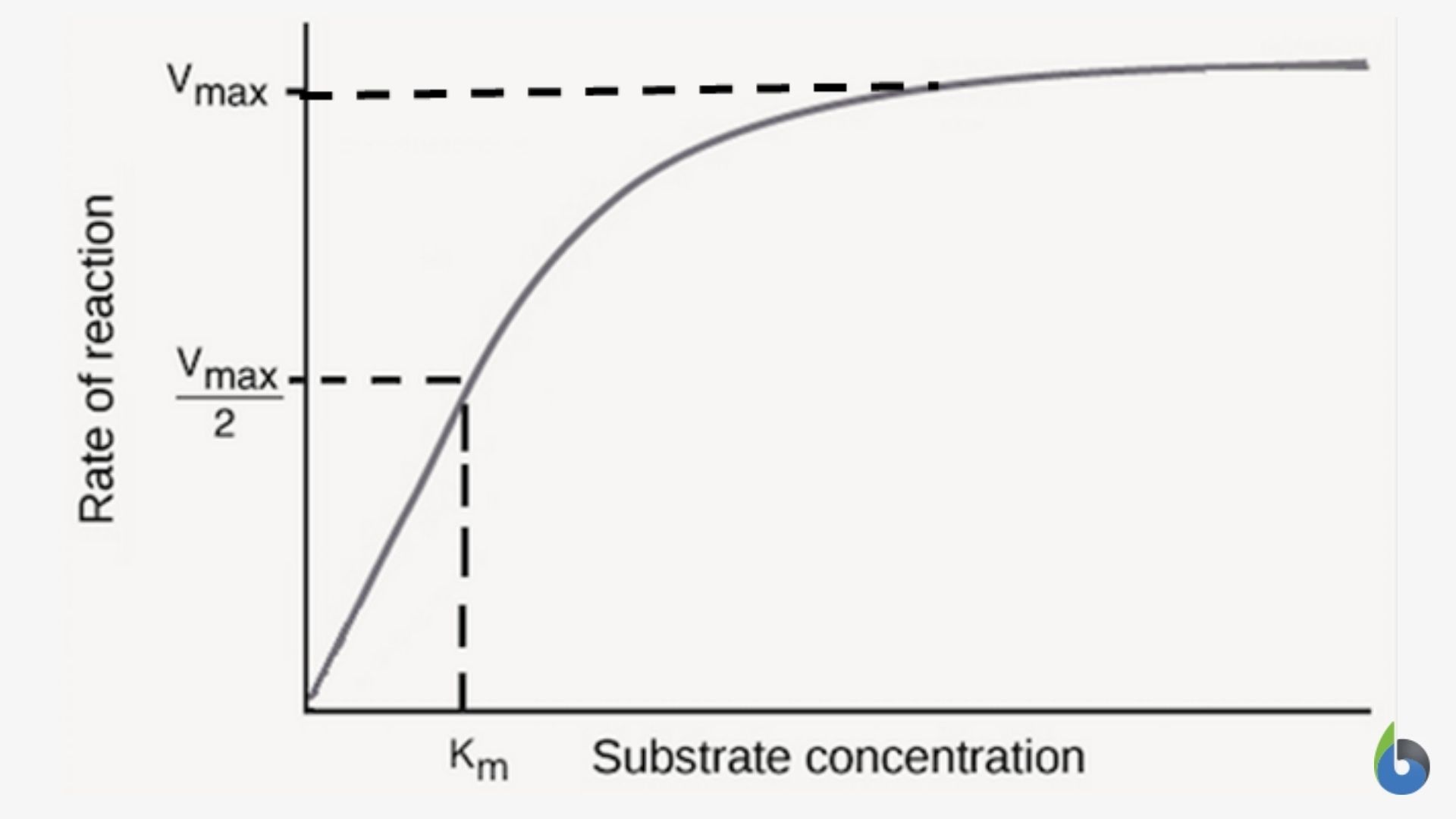 Vmax - Definition and Examples - Biology Online Dictionary