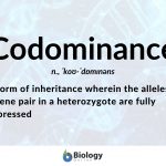 Codominance Definition and Examples - Biology Online Dictionary