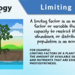 Limiting factor Definition and Examples - Biology Online Dictionary