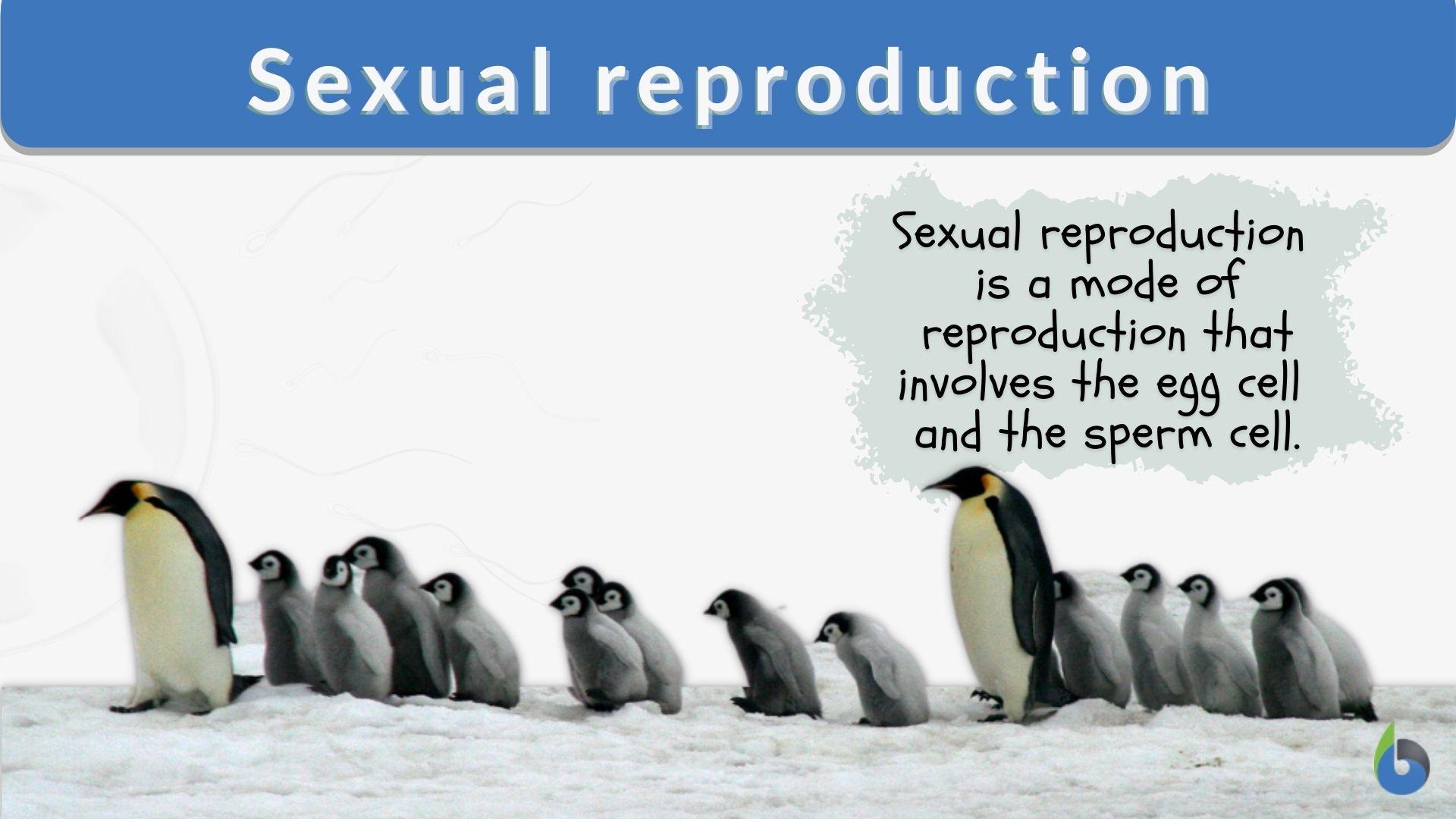 Reproducing Meaning