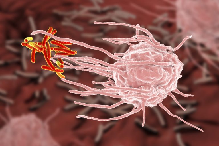 Biological Cell Defense - Biology Online Tutorial Biological Cell Defense - Biology Online Tutorial