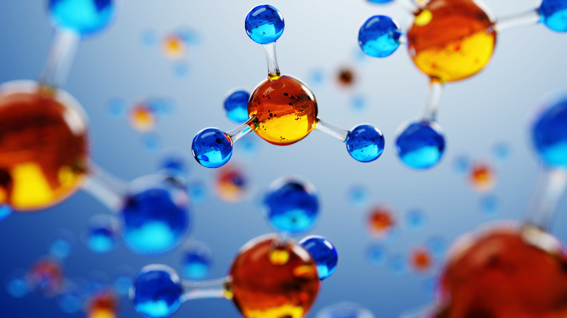 Chemical Composition Of The Body Biology Online Tutorial