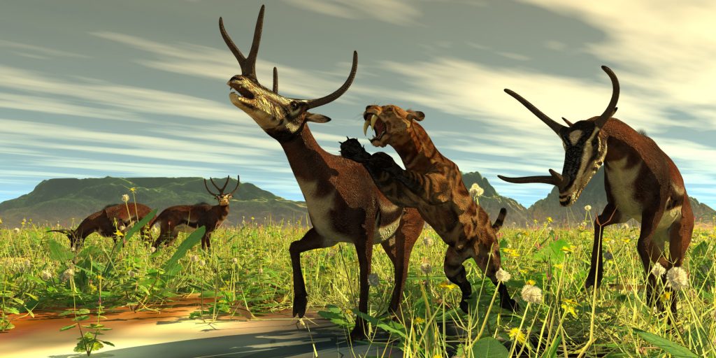 Monoploid Definition and Examples - Biology Online Dictionary