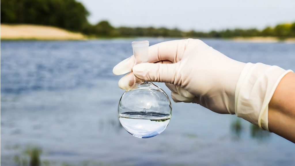 Biosystem Definition and Examples - Biology Online Dictionary