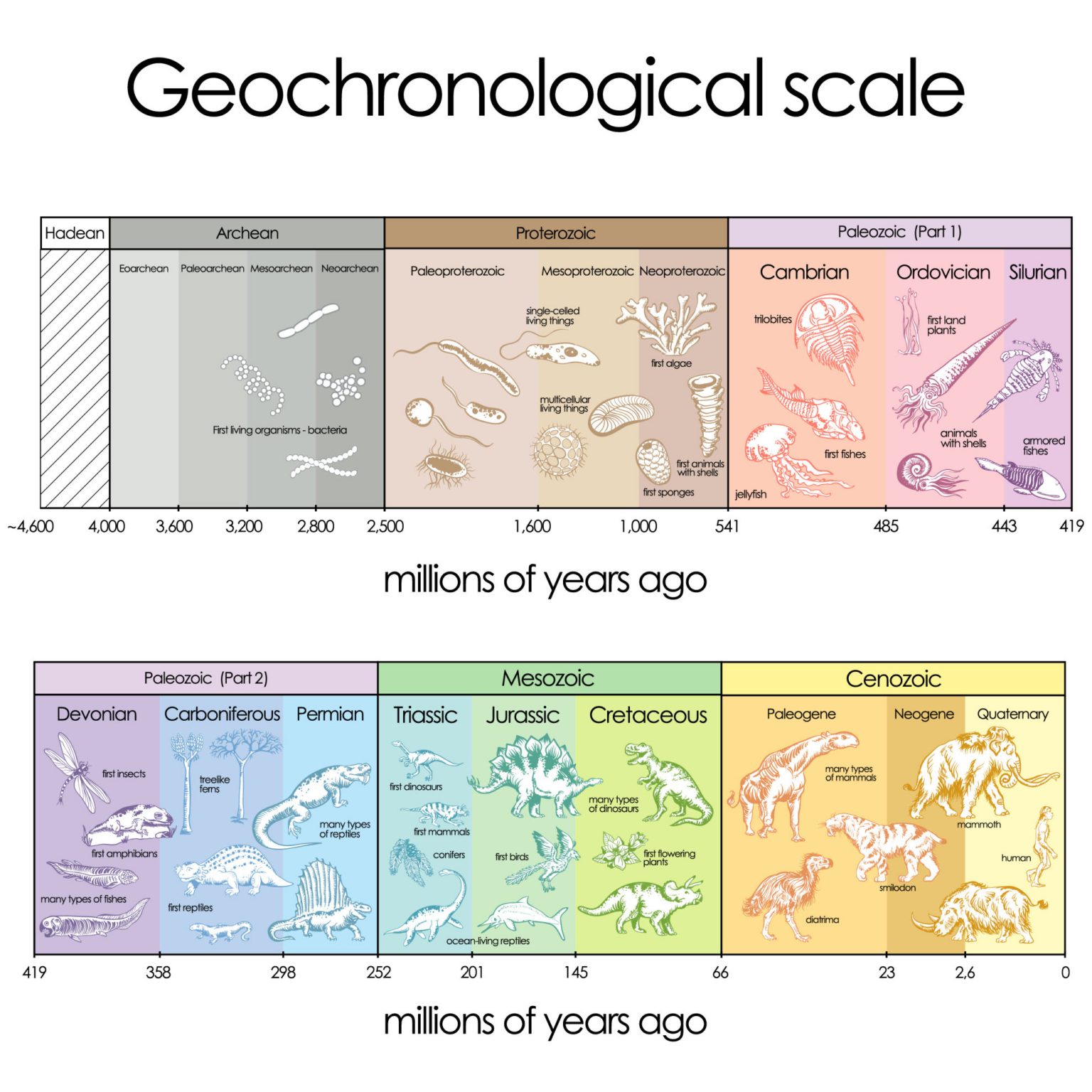Geological Periods - Biology Online Tutorial