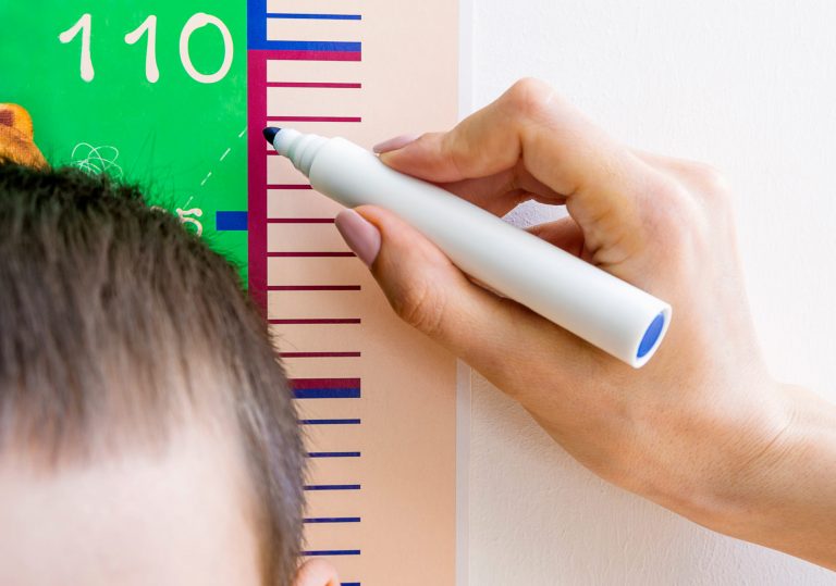 Topographic anatomy Definition and Examples - Biology Online Dictionary