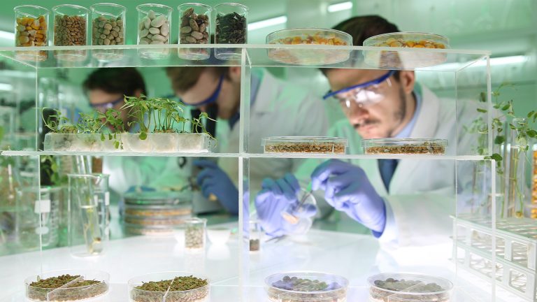 Nulliparity Definition and Examples - Biology Online Dictionary