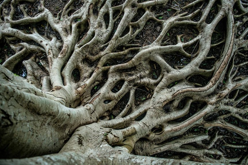 Gen Definition and Examples - Biology Online Dictionary