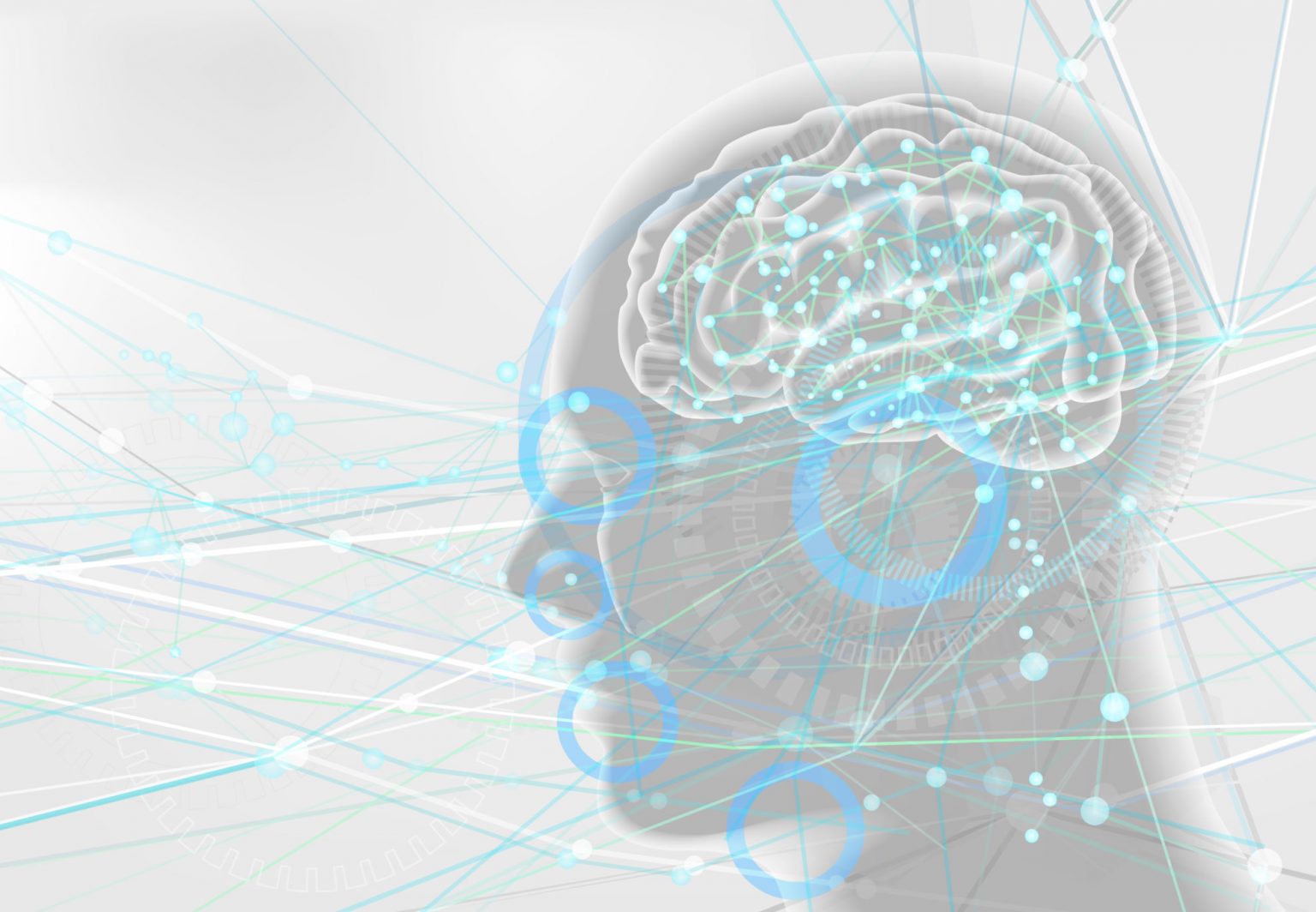 Bone matrix Definition and Examples - Biology Online Dictionary