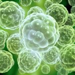 Adaptive evolution Definition and Examples - Biology Online Dictionary