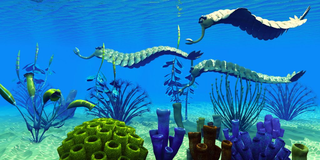 Microhabitat Definition and Examples - Biology Online Dictionary