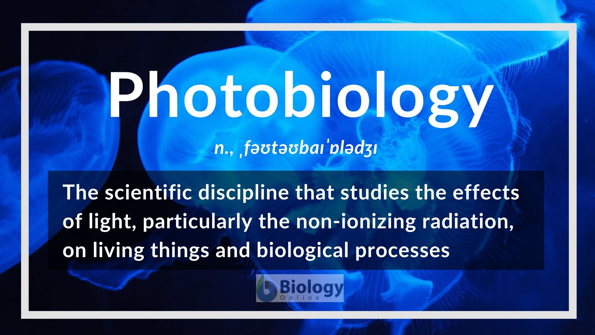 photobiology Definition and Examples - Biology Online Dictionary