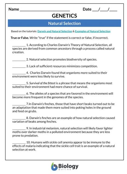 Genetics - Lesson Outline & Worksheets - Biology Online Tutorial