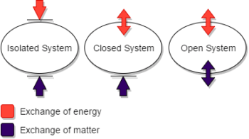 System - Definition and Examples - Biology Online Dictionary
