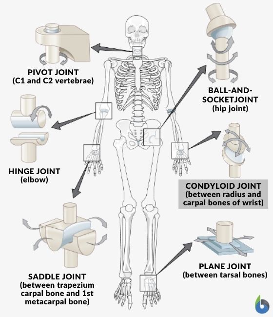 What Are The 4 Types Of Joints And Examples - Design Talk
