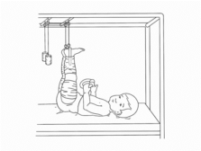 Buck's traction - Definition and Examples - Biology Online Dictionary