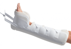 Buck's traction - Definition and Examples - Biology Online Dictionary