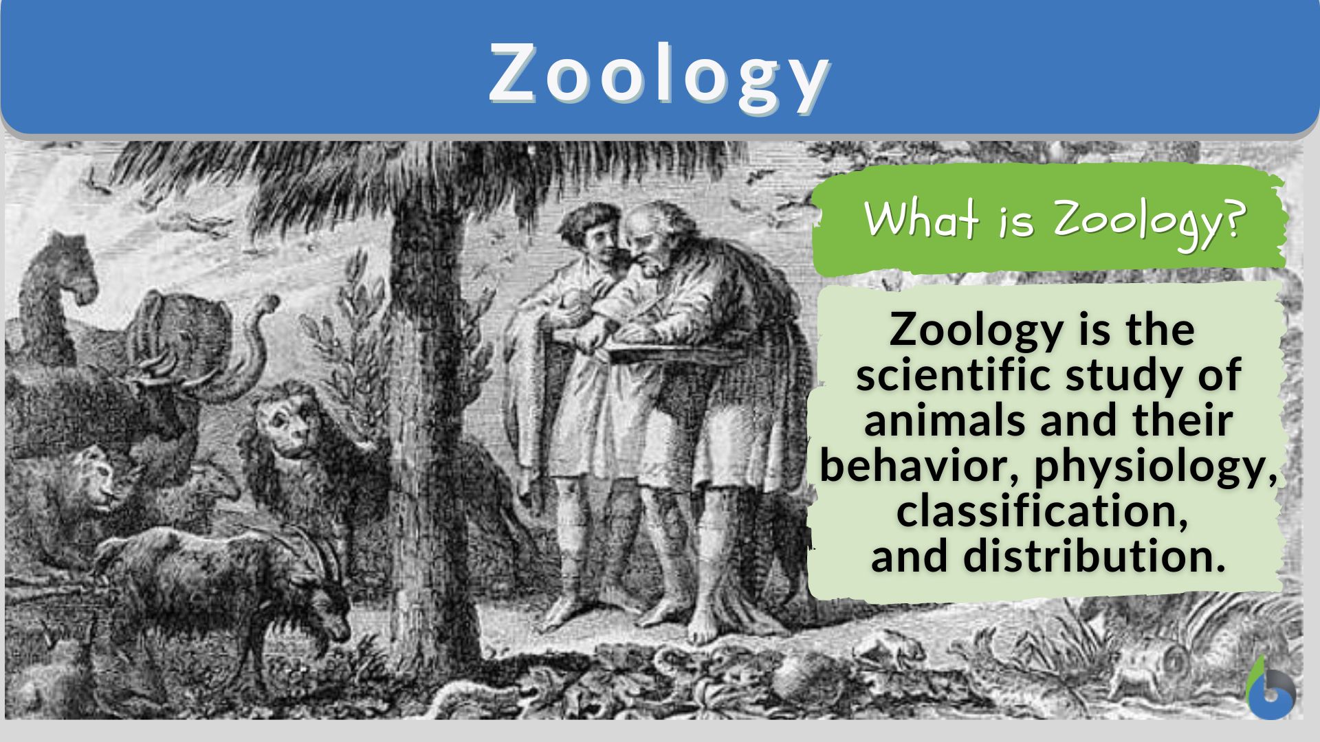 Zoology Definition And Examples Biology Online Dictionary