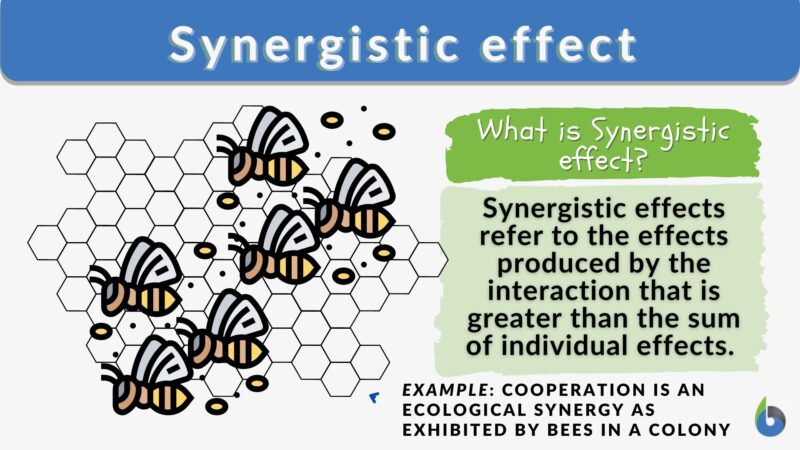 Synergistic effect - Definition and Examples - Biology Online Dictionary