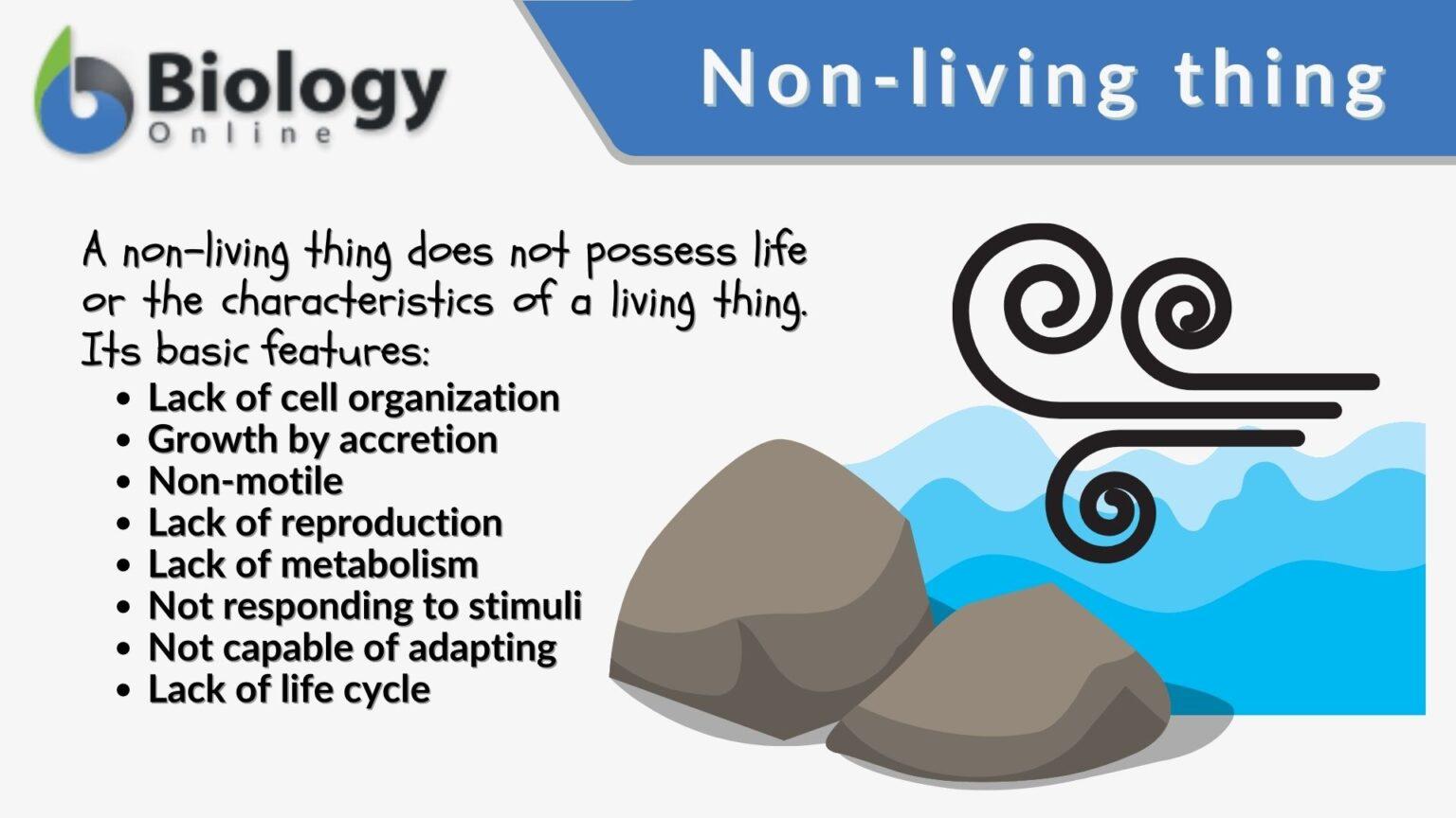 Non-living thing - Definition and Examples - Biology Online Dictionary