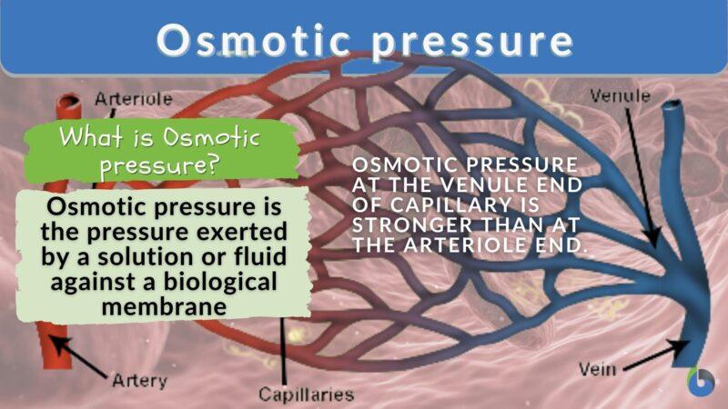 Osmotic pressure - Definition and Examples - Biology Online Dictionary