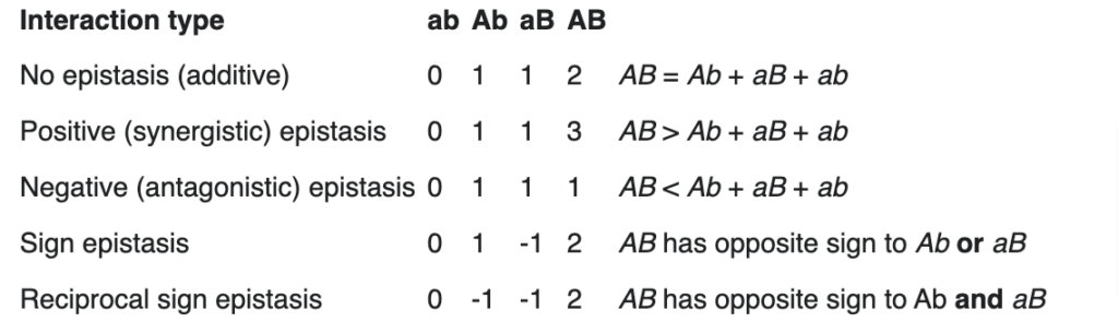 Epistasis - Definition and Examples - Biology Online Dictionary