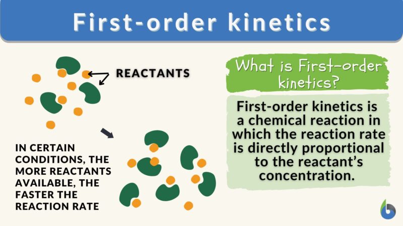 First-order kinetics Definition and Examples - Biology Online Dictionary