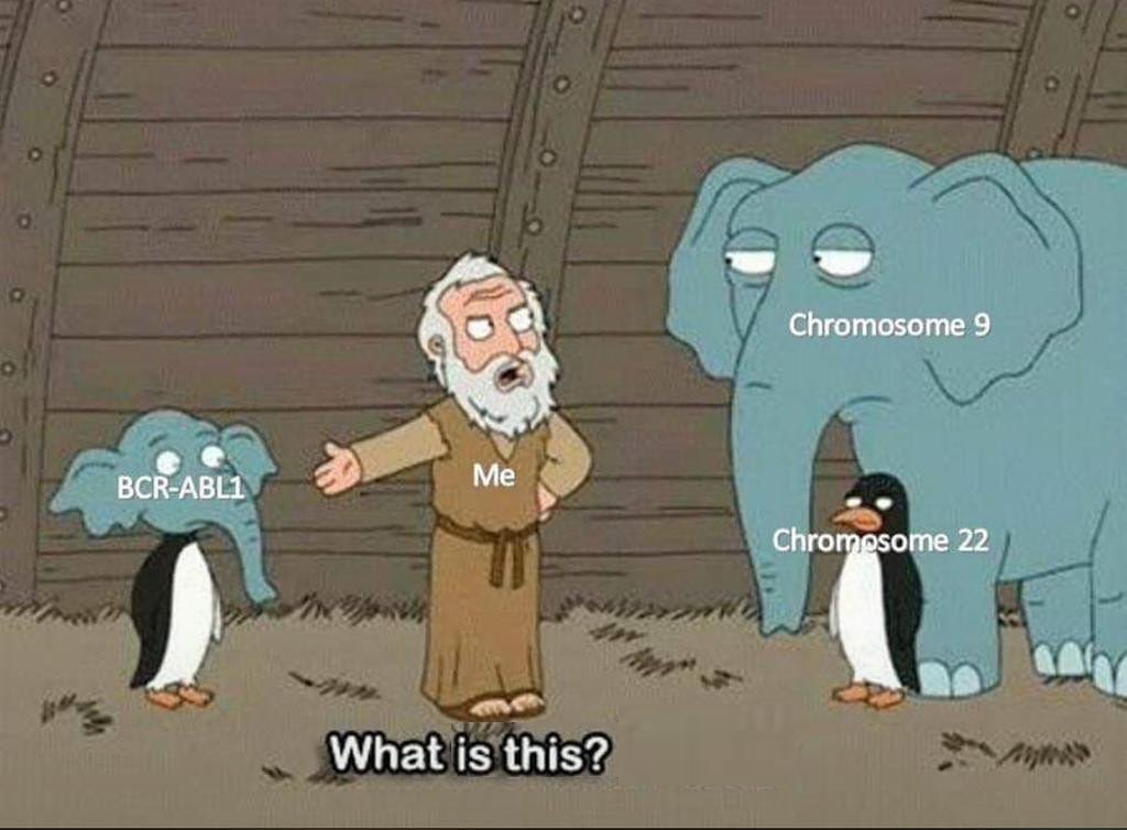 Autosome - Definition and Examples - Biology Online Dictionary