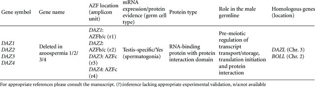 Y chromosome Definition and Examples - Biology Online Dictionary